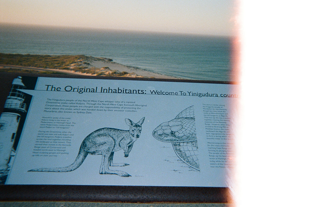 In Focus – Focus Pocus