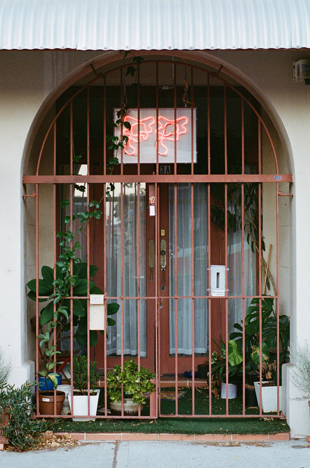 Contact – Focus Pocus